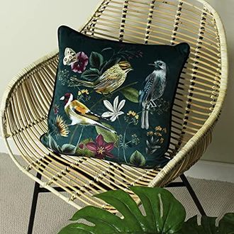 furn. Evans Lichfield Midnight Garden Kissen mit Vogelmotiv, Samt, mit Paspelierung, gefüllt