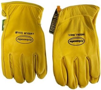 Ambassador M ST12996