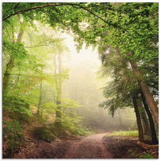 Artland ARTland Wanddeko Glasbilder Wandbild Glas Bild einteilig Quadratisch Wald Baum Natur Landschaft Nebel Sonne Sommer Landhaus T5GR