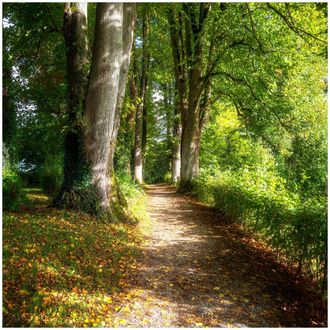 Wallario Sticker/Aufkleber f&uuml;r K&uuml;hlschrank/Geschirrsp&uuml;ler/K&uuml;chenschr&auml;nke, Selbstklebende Folie - 60 x 60 cm, Motiv: Weg im Sonnenlicht