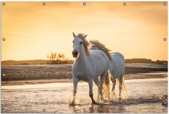 Wallario Outdoor-Poster f&uuml;r Garten oder Balkon Pferde im Abendlicht, Motivbanner Gr&ouml;&szlig;e: ca. 120 x 180 cm, Outdoor-Bild