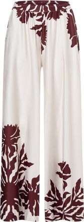 Ana Alcazar Hose Dorinor