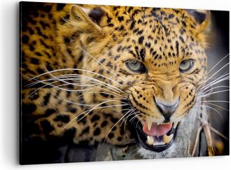 Arttor Bilder auf Leinwand 100x70cm Leinwandbild Leopard tier savanne afrika Groß Wanddeko Bild Schlafzimmer Küche Deko Wandbilder Dekoration Wohnzimmer Wall