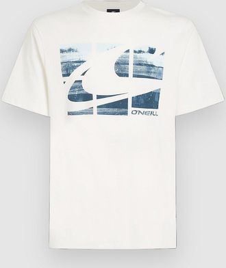 O'Neill Gradient T-Shirt snow white 2