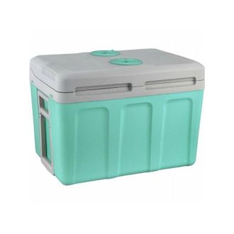 Eza Watches Glaciere thermo&eacute;lectrique incasa 40L - Alimentation 12/220V - Vert - Id&eacute;ale pour l&eacute;t&eacute; en voiture