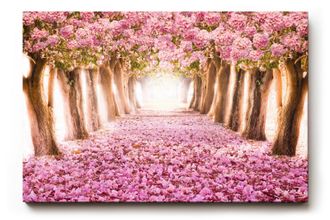 Paul Sinus Art Sinus Art Wandbild 120x80cm M&auml;rchenhafter Weg unter rosa Bl&uuml;tenb&auml;umen mit Perspektive und Tiefe