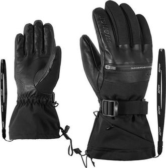 Ziener Herren Handschuhe GALLINUS AS(R) PR DCS glove ski alp
