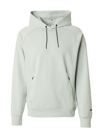 Champion Authentic Athletic Apparel Sweatshirt