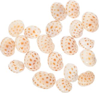 SOLUSTRE 40stücke Teiliges Natürliches Kleine Muscheln Für Aquarium Dekoration DIY Bastelprojekte Kreative Meeresdeko Mit Glatten Kanten Sicher Für Gartendeko 