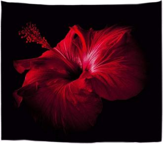 A.Monamour Wanddekor Wandteppiche Romantische Rote Blumen Bl&uuml;ten Vor Schwarzem Hintergrund Fotografie Bild Druck Stoff Wandbehang Tapisserie Wandkunst Decors F&uuml;r