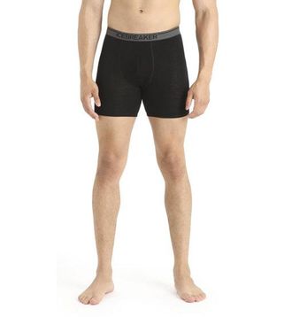 Icebreaker Merino Anatomica - Boxer - Herren