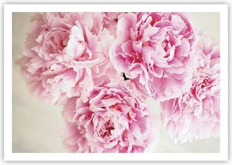 Arttor Poster ohne Rahmen Deko 100x70cm Pfingstrosen Blumenstrauß Blumen Wandposter Wanddeko Bild Wand Kunstdruck Wandbilder Dekoration Wohnzimmer Schlafzimm