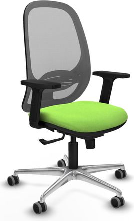 Piqueras y Crespo Stuhl geeignet f&uuml;r Arbeiten mit 2D-Armen, h&ouml;henverstellbare Lendenwirbelst&uuml;tze, mit 3 Positionen und Schneidschaum, Grau/Pistazie