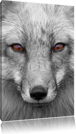 Pixxprint wundersch&ouml;ner Fuchs im Portrait B&W, Gr&ouml;&szlig;e: 80x60cm, Leinwandbild, fertig gespannt, Wandbild, Dekoration, Kunstdruck, kein Poster
