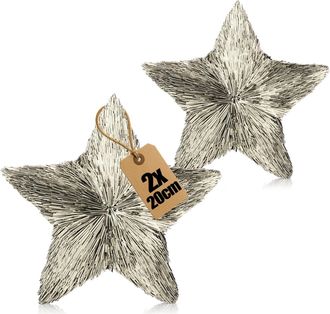 Com-Four 2X Deko-Stern 3D aus Kunststoff - metallisch gl&auml;nzender Dekostern - Klassische Dekoration f&uuml;r Winter und Weihnachten - ca. 20cm (2X champagnerfarben)