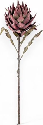 Bloomingville Protea K&uuml;nstlich Einzelstiel, Violett, Kunststoff