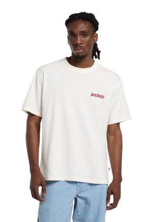 Dickies T-Shirt Dry Ridge