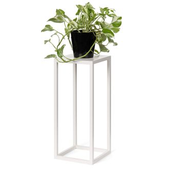 Lamofootwear Manufaktur Blumenst&auml;nder Elfenbein aus Metall 48cm | Pflanzens&auml;ule f&uuml;r Innenr&auml;ume - Wohnzimmer, Schlafzimmer | Blumenst&auml;nder modern zur Hochzeit, Sock