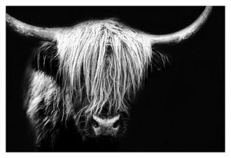 Wallario selbstklebendes Poster - Highlander in schwarz-wei&szlig;, Aufkleber in Premiumqualit&auml;t, Klebefolie Gr&ouml;&szlig;e: 61 x 91,5 cm (Maxiposter)