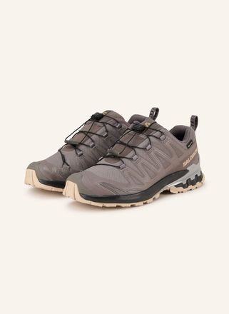 Salomon Wanderschuhe Xa Pro 3d v9 Gtx grau
