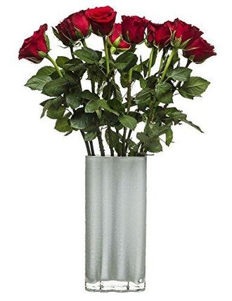 Sagaform Siluett Glasvase, Glas, Transparent, 15 x 12 x 26 cm