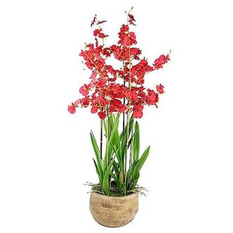 Leaf Design UK Realistische künstliche Orchidee im Topf