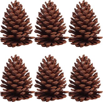 SOLUSTRE 6pcs Tannenzapfen Basteln Kiefernzapfen Tannenzapfen Naturzapfen Schwarzkiefer Weihnachtsbaum Zapfen Weihnachtsdeko Herbstdeko f&uuml;r DIY Handwerk Orname