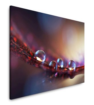 Paul Sinus Art Feder mit Perle 40 x 60 cm Inspirierende Fotokunst in Museums-Qualit&auml;t f&uuml;r Ihr Zuhause als Wandbild auf Leinwand in