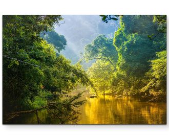 Paul Sinus Art Leinwandbilder | Bilder Leinwand 120x80cm Fluss im Regenwald