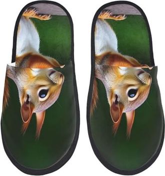Generic Des &Eacute;cureuils Mangent Des Cacahu&egrave;tes Dans LArbre Unisexe Slippers Confortable Chaussons Respirantes Pantoufles Pour Ext&eacute;rieur Maison Hiver M