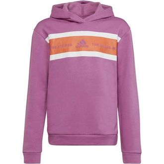 adidas Kinder Kapuzensweat G ES BL WARM HD