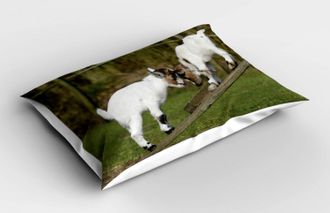 Abakuhaus Tier Kissenbezug, Farm Life mit Ziegen, Dekorativer Standard King Size Gedruckter Kissenbezug, 80 x 40 cm, Wei&szlig; und Gr&uuml;n