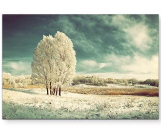 Paul Sinus Art Leinwandbilder | Bilder Leinwand 120x80cm eisige Winterlandschaft mit Baum