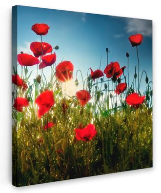 MuchoWow Leinwand Bilder, Einzigartige Wanddeko mit Rahmen, Mohnblumen - Toskana - Sonne - Rot - Blau, Wandbilder Wohnzimmer, Deko Schlafzimmer 50x50 cm