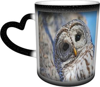 IUBBKI Lustige Eulen-Tasse mit Farbwechsel im Himmel, Keramik, w&auml;rmeempfindliche Tasse, Latte-Becher, w&auml;rmeempfindliches Design f&uuml;r Geschenke, B&uuml;ro, personal
