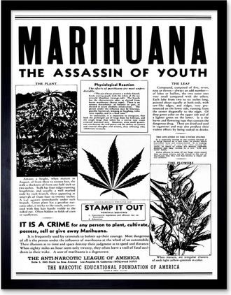 Wee Blue Coo Advertising Drug Awareness Warning Marijuana Weed Cannabis Panic USA Art Print Framed Poster Wall Decor Kunstdruck Poster Wand-Dekor-12X16 Zoll