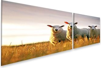 Islandburner Bild auf Leinwand DREI Schafe im Sonnenlicht Landschaftsbilder Bilder Wandbilder Poster IRYO-2K