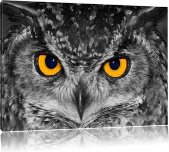 Pixxprint Wunderschöne Eule mit gelben Augen B&W, Größe: 120x80cm, Leinwandbild, fertig gespannt, Wandbild, Dekoration, Kunstdruck, kein Poster