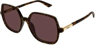 Chlo&eacute; Femme, Accessoires, Brun, Taille: 55 MM Lunettes de soleil
