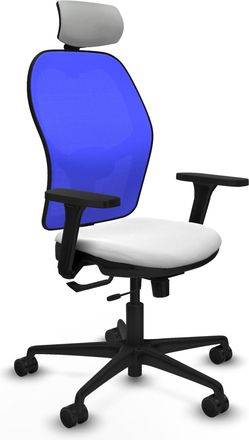 Piqueras y Crespo Ergonomischer Drehstuhl mit Chorquera Armen, h&ouml;henverstellbare Lendenwirbelst&uuml;tze und h&ouml;henverstellbares Kopfteil und Neigungsverstellung, ausgestatte