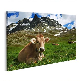 Islandburner Bild auf Leinwand Kuh auf bl&uuml;hender Wiese mit Bergen im Hintergrund - Edition F2