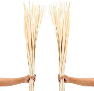 Leewadee Dekoration für Bodenvasen, 2 Bündel Getrocknete und Colorierte Natur-Palmblätter, Trockenblumenstrauß Für Wohnzimmerdeko, 115 cm, Natur