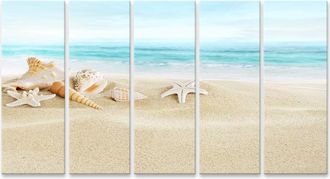 Islandburner Bild Bilder auf Leinwand Muscheln am Sandstrand Wandbild Poster Leinwandbild SOJ