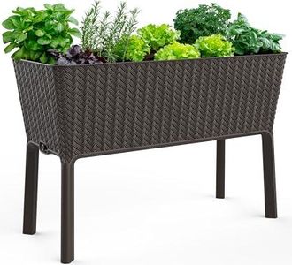 Keter Easy Hochbeet mit selbstbewässerndem Pflanzkasten und Ablaufstopfen, perfekt für den Anbau von frischem Gemüse, Blumen und Kräutern, Graphit