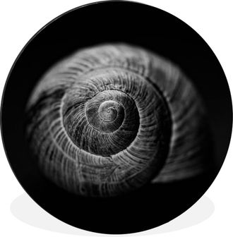 MuchoWow Wandbild Rund Wanddeko Deko Wohnzimmer Bilder 30x30 cm Schnecke - Tiere - Schwarz - Wei&szlig; - Schneckenhaus