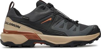 Salomon Trekkingschuhe Salomon X Ultra 360 Gore-Tex L47687000 Grau