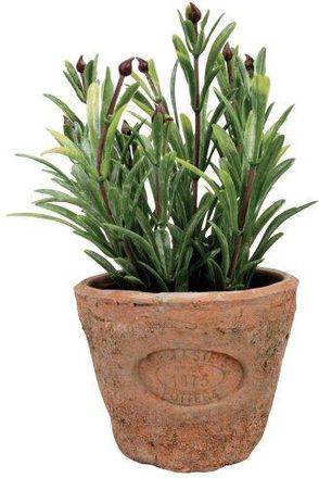 Esschert Design Kunststoffpflanze Rosmarin im Topf, Größe S, ca. 8,6 cm 8,6 cm x 17 cm