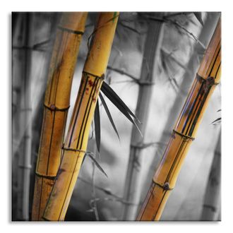 Pixxprint Glasbild, Wandbild auf Echtglas, alter rustikaler Bambus, 50x50 cm, inkl. Aufhängung und Abstandshalter