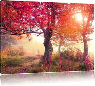 Pixxprint Traumhafte Herbstlandschaft, Größe: 120x80cm, Leinwandbild, fertig gespannt, Wandbild, Dekoration, Kunstdruck, kein Poster