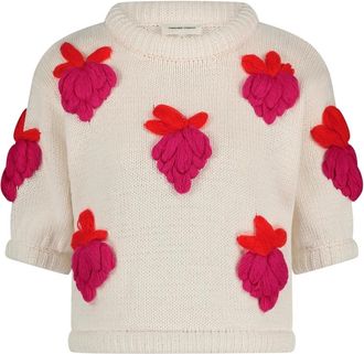 Fab By Fabienne Chapot Fabienne Chapot, Femme, Pulls, Beige, Taille: 40 FR Pull Fraises